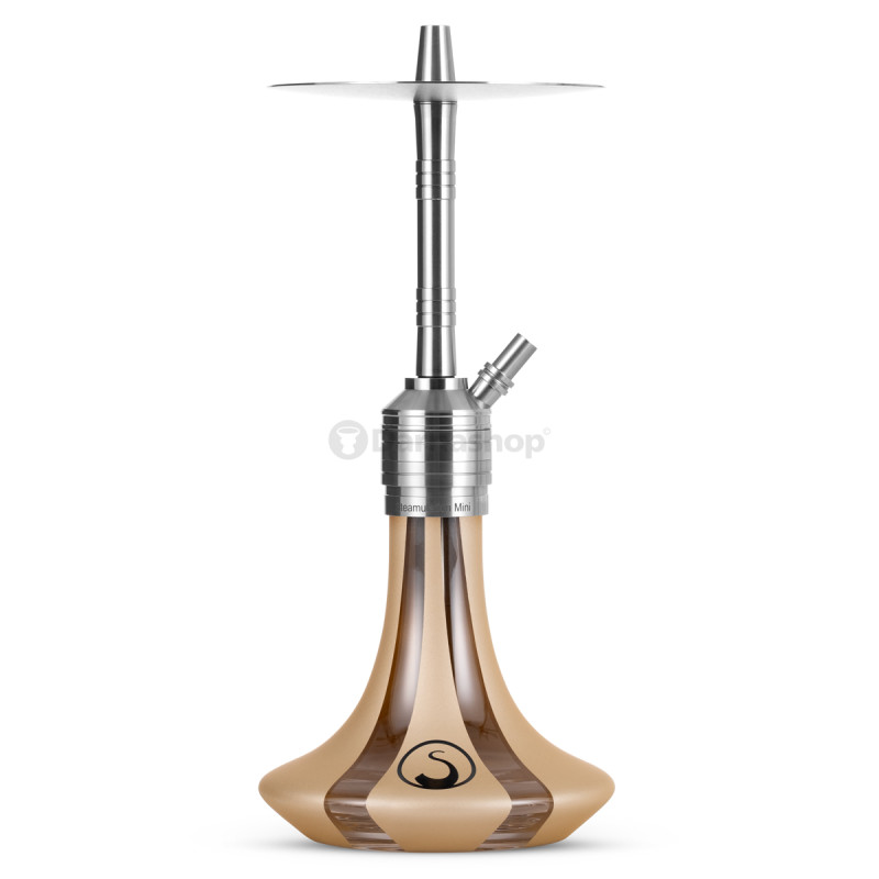 Steamulation Pro X Mini Generation 2